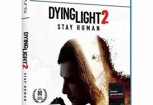 Ресурсы Dying Light 2