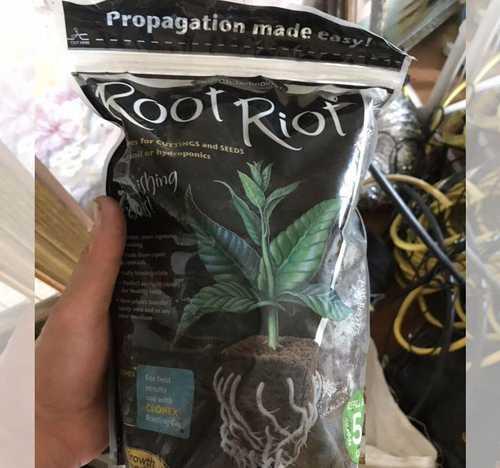 Root riot -пробки для клонирования растений