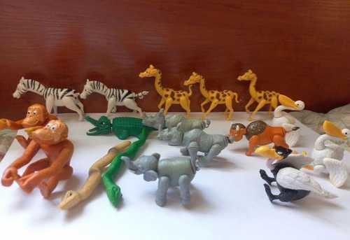 Tombola животные динозавры Crazy planet zoo