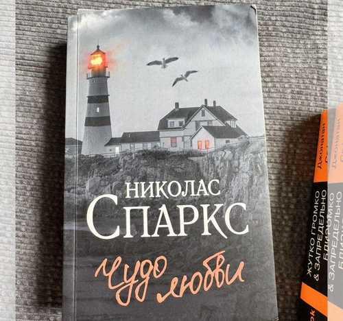 Николас спаркс книга чудо любви