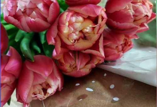 Потрясающие тюльпаны к празднику 8 марта