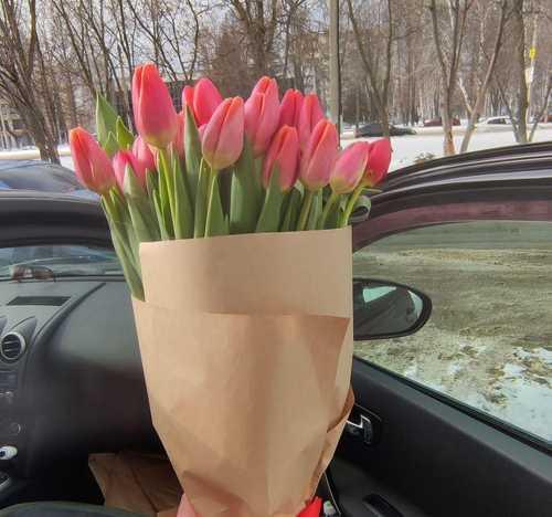 Тюльпаны
