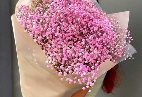 Цветы Гипсофила розовая