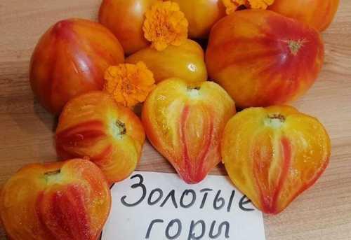 Семена сортового томата Золотые горы Медео