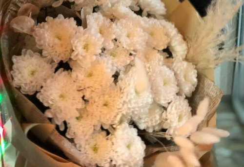 Хризантема кустовая букет цветов,цветы,доставка