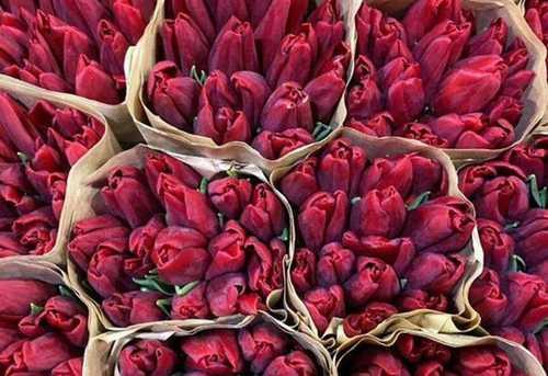 Букет из 39 тюльпанов микс цветы