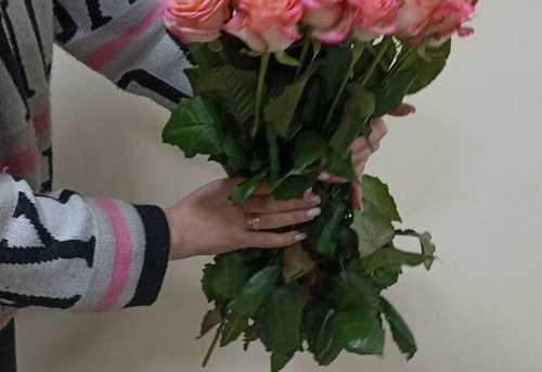 Роза Россия 50 см 25 шт