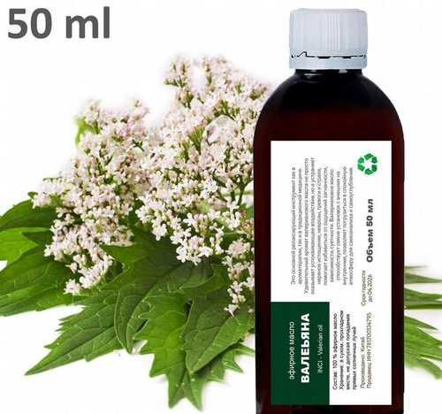 Эфирное масло валерьяна / Valerian oil