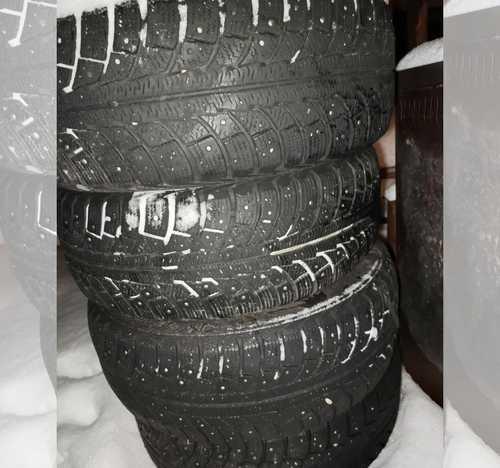 Gislaved Nord Frost 5 205/60 R16