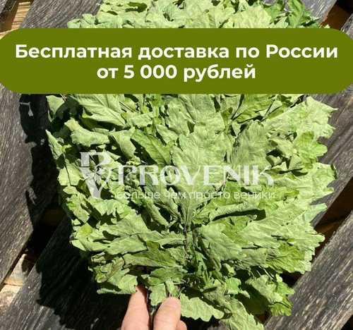 Веники для бани для бани опт и розница