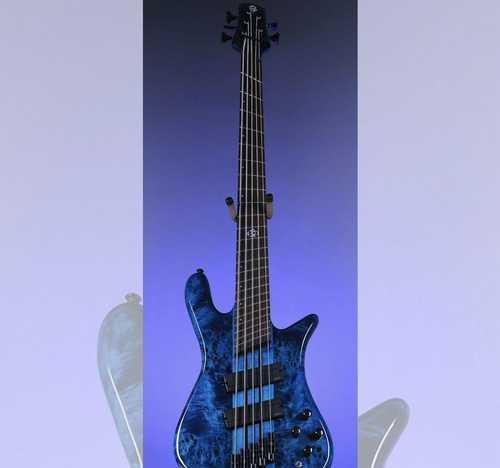 Spector NS Dimension 5 Black & Blue Gloss