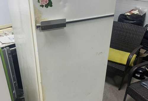 Холодильник Бирюса 6