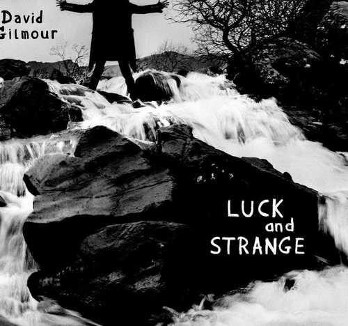 David gilmour Luck And Strange (LP)