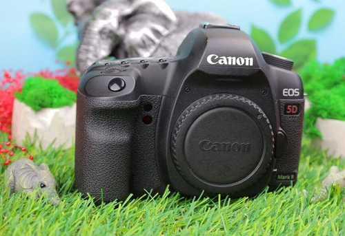 Canon EOS 5D Mark II Body ID133