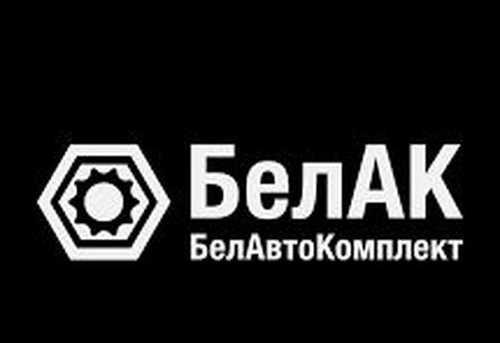 БЕЛАВТОКОМПЛЕКТ BAK07004 бак.07004 набор инструмен