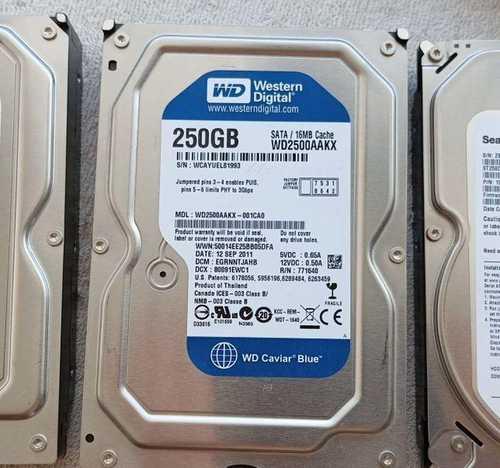 Жесткий диск 3,5 (компьютерный) HDD 250Gb