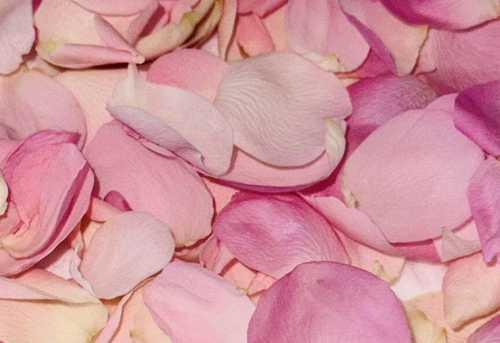 Лепестки роз сушеные