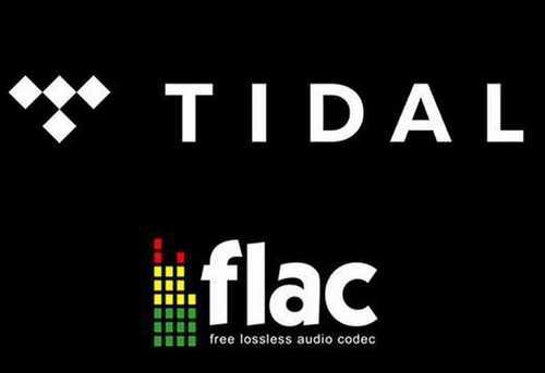 Семья Tidal Hi-Fi plus Family место сербская семья