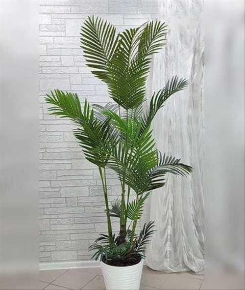 Искусственное растение Пальма Хамедорея Н170см