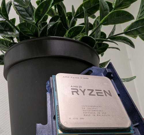 Процессор Ryzen 3 1200