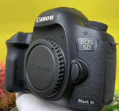 Canon 5D mark iii