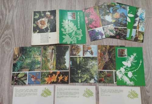 Набор открыток СССР "Ботанический сад", 1988 г