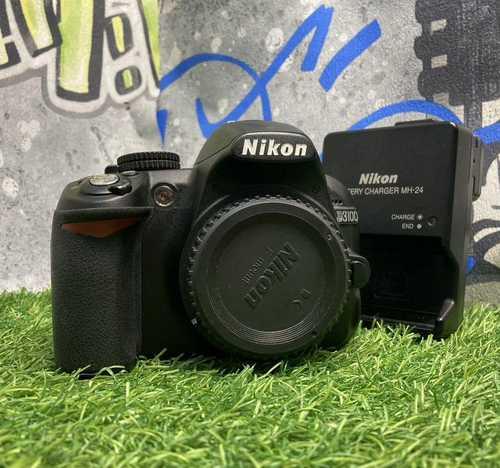 Nikon D3100 (12.500 кадров) модифицированный, инфракрасный