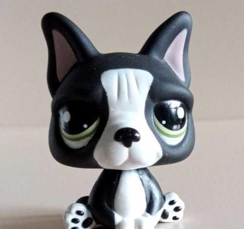 Фигурка little pet shop французский бульдог