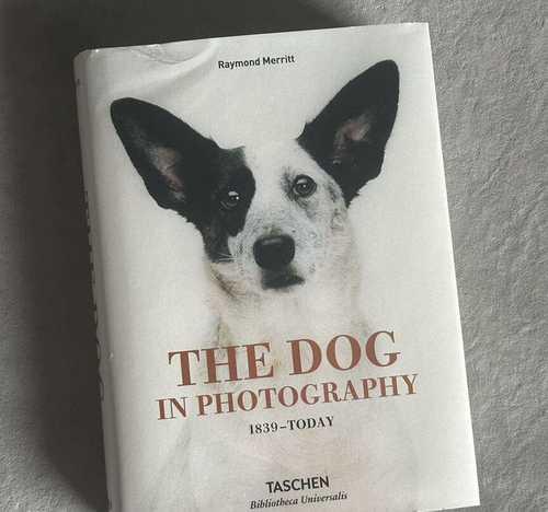 Книга The dog in photography Raymond Merritt