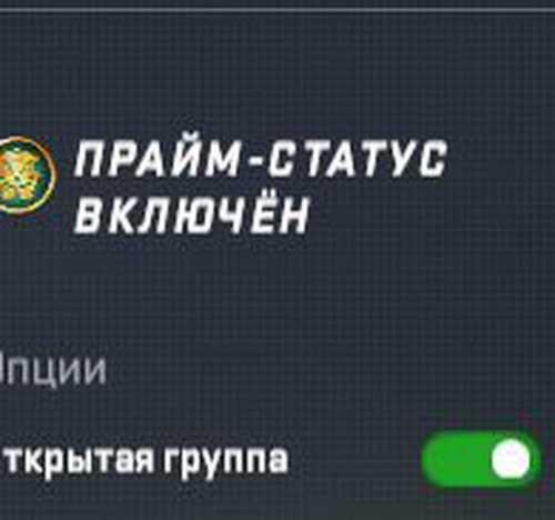 Прайм кс 2   AK снежный вихрь(Немного поношенное)