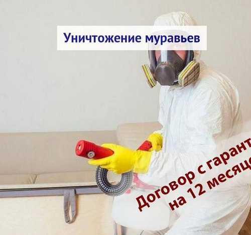 Уничтожение клопов тараканов грибка плесени