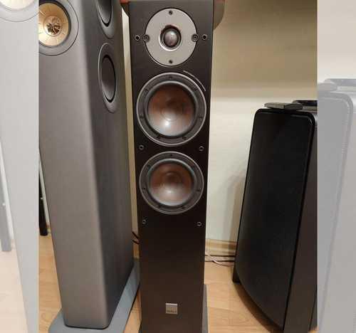 Акустика Dali Oberon 5, Polk Audio RTi A3