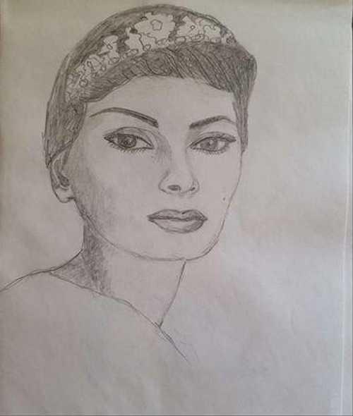 Рисунок карандашом Sophia Loren (Софи Лорен)