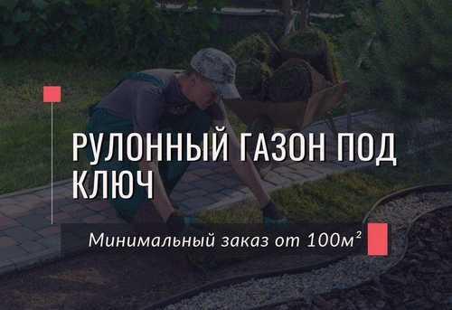 Укладка и продажа рулонного газона