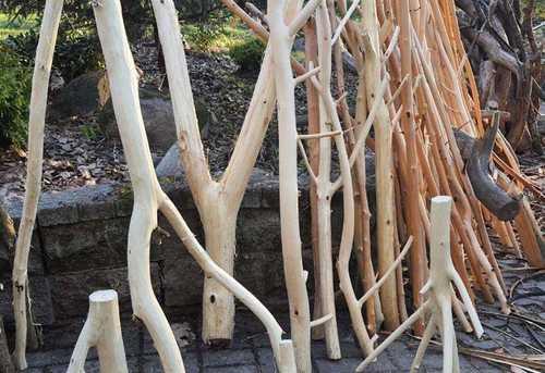 Стволы ветви коряги коряжки пни палки для декора