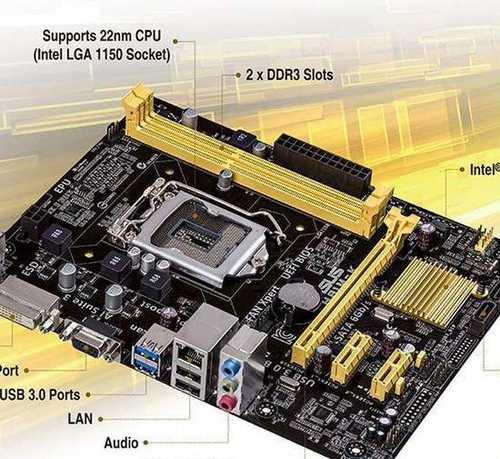 Asus H81M-K + Core i3-4170 + 8 Gb DDR3