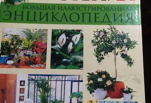 Энциклопедия о комнатных растениях