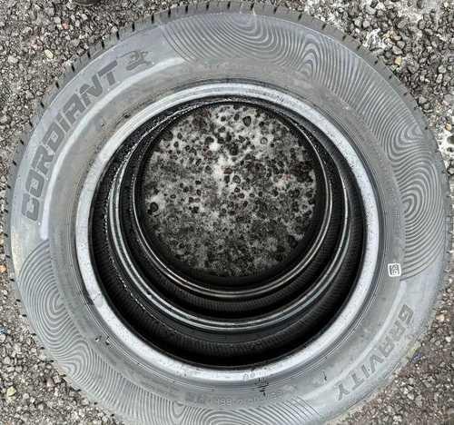 Cordiant Gravity 205/65 R16 99H