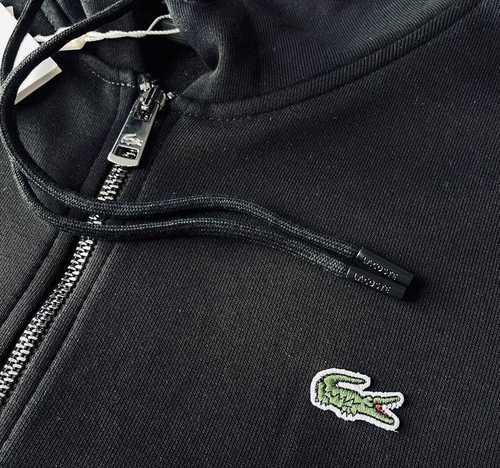 Спортивный костюм Lacoste premium