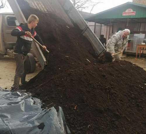 Чернозем для грядок