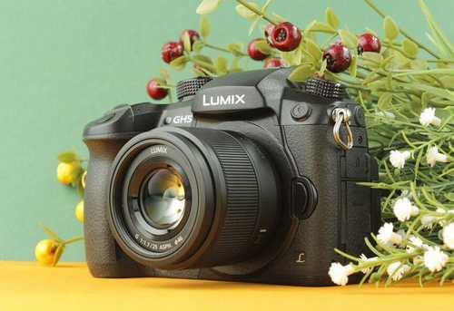 Фотоаппарат Panasonic Lumix GH5 kit 25 f1,7