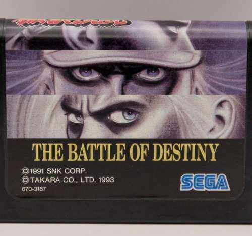 The Battle of Destiny