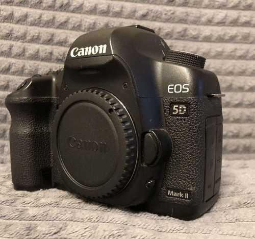 Canon 5D Mark II body