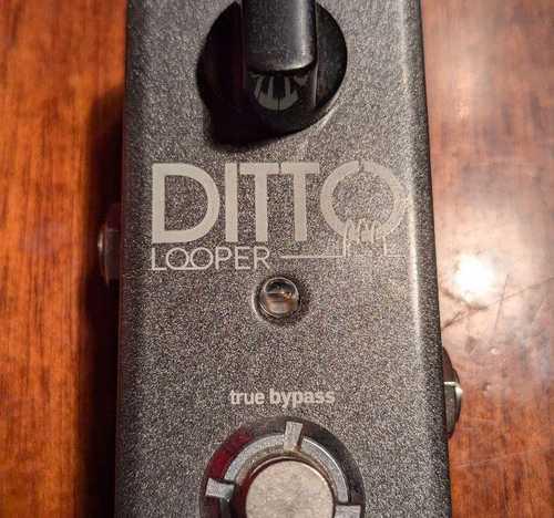 Tc Electronic Ditto Looper