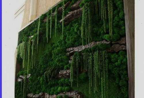 Эко-дизайн: стены из живых растений Арт: 217564