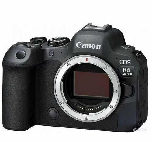 Canon R6 Mark II Body новый