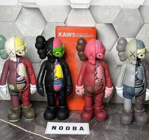 Kaws Anatomy