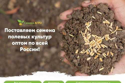 Семена  Луговая опт | Festima.Ru - Мониторинг объявлений