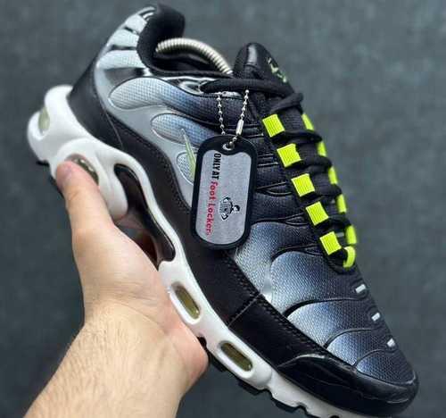 Мужские Кроссовки Nike Air max tn