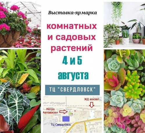 Выставка-ярмарка растений в Екатеринбурге